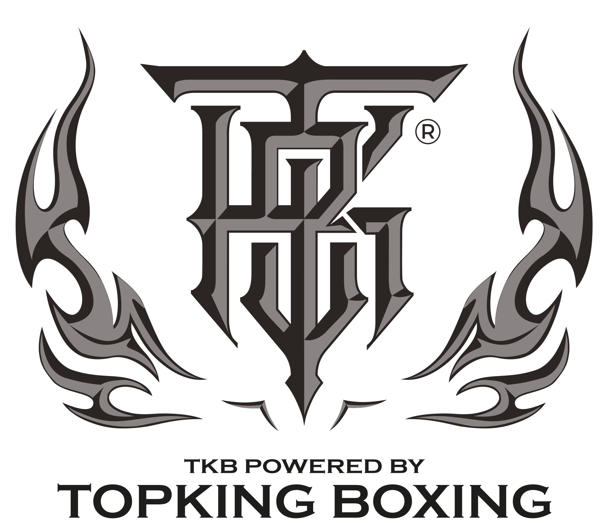 Top King Boxing Kampfsportartikel - Offizieller Schweizer Partner